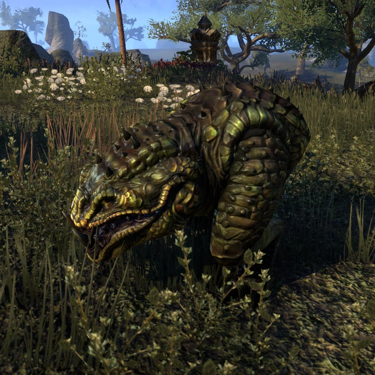 Alit (Online) | Wiki The Elder Scrolls | Fandom