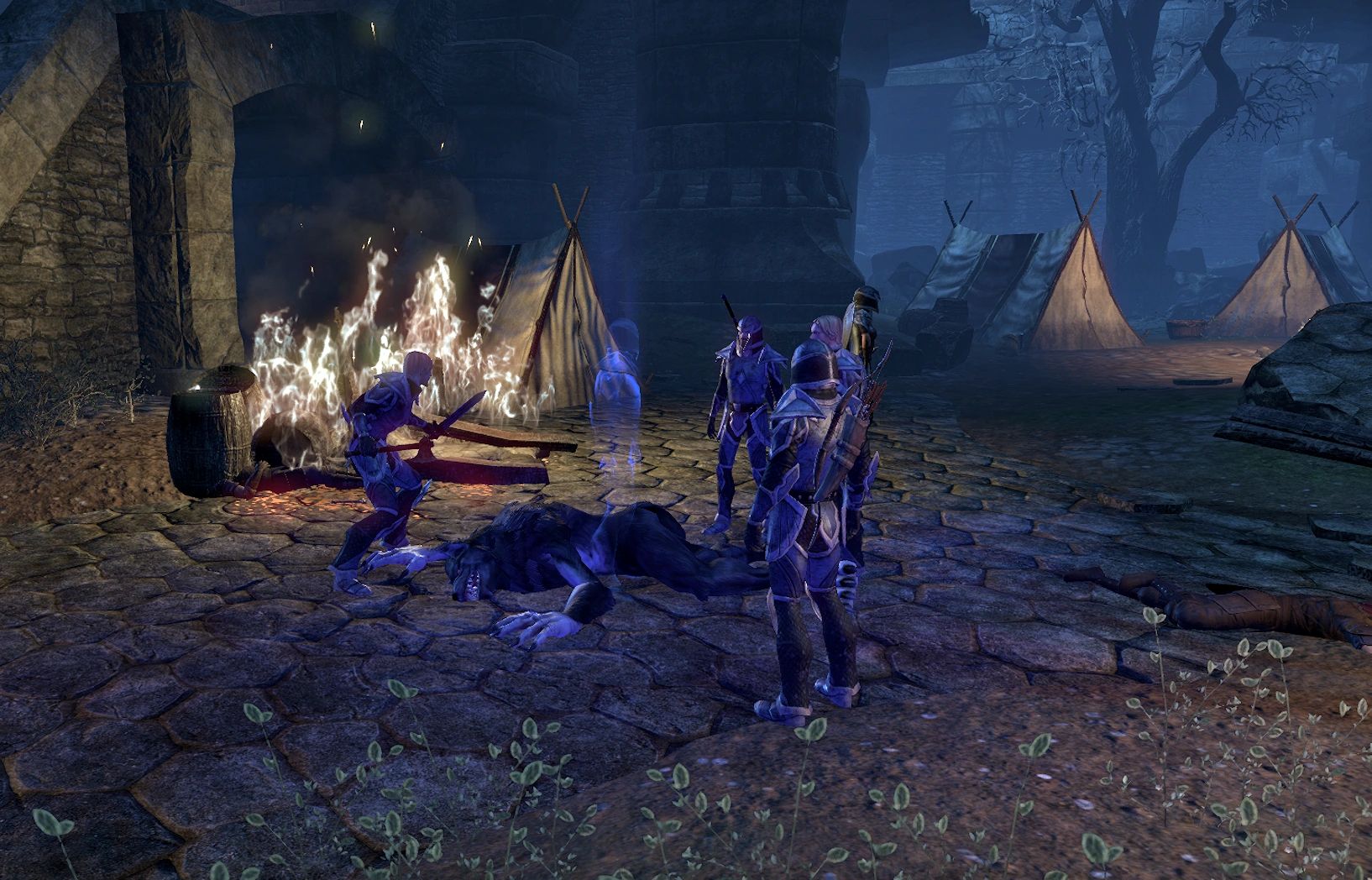 The Nameless Soldier | Elder Scrolls | Fandom