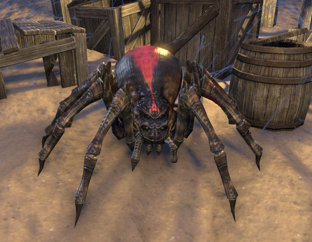 Elder Spider | Elder Scrolls | Fandom