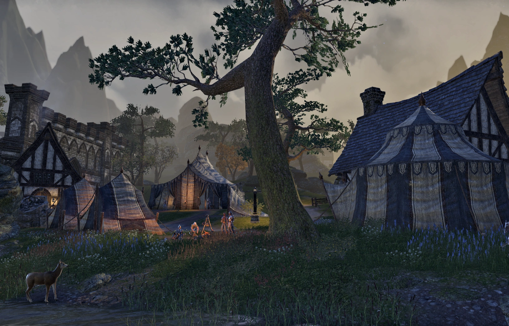 Alik'r Camp (Alcaire Castle) | Elder Scrolls | Fandom