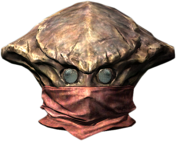 Chitin Heavy Helmet | Elder Scrolls | FANDOM powered by Wikia Chitin Heavy Helmet | Elder Scrolls | FANDOM powered by Wikia