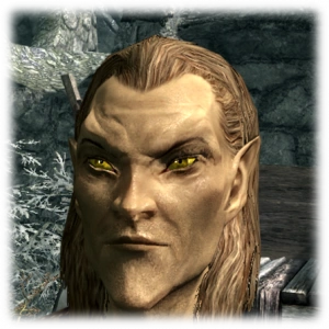 Altmer (Skyrim) | Elder Scrolls | FANDOM powered by Wikia