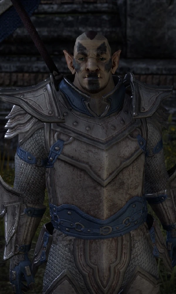 Category:Online: Southern High Rock Gate Characters | Elder Scrolls ...