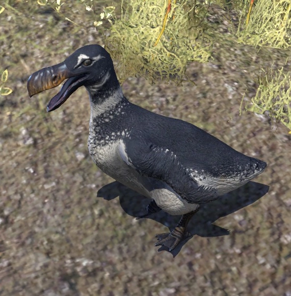Chicken Nerf — Elder Scrolls Online