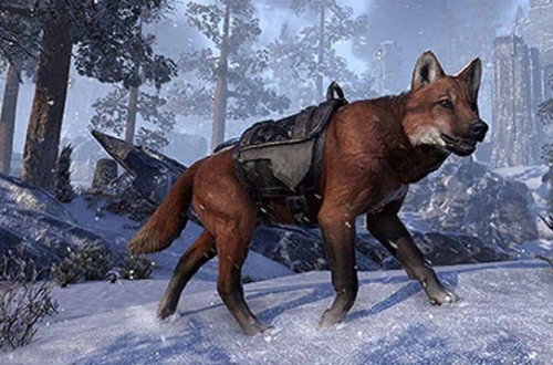 Was there ever a fox mount in game? — Elder Scrolls Online
