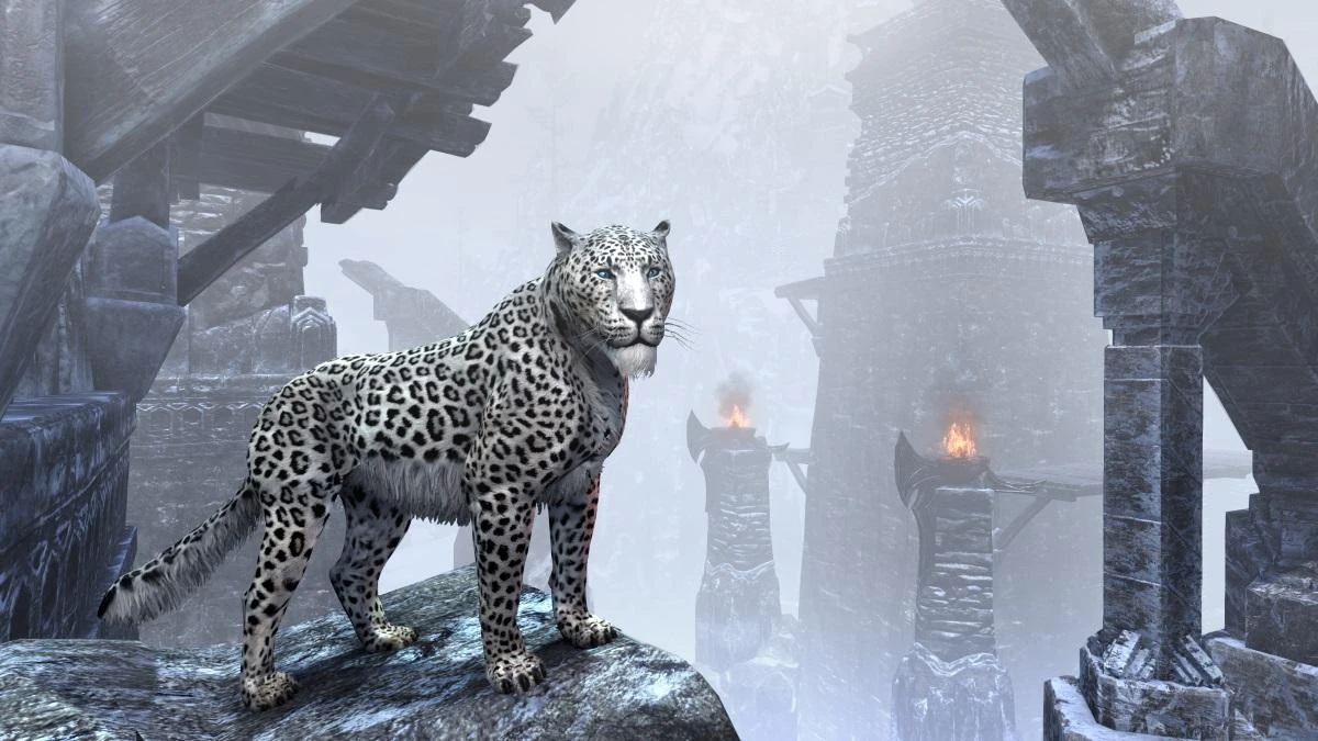 Spotted Snow Senche-Leopard | Elder Scrolls | Fandom
