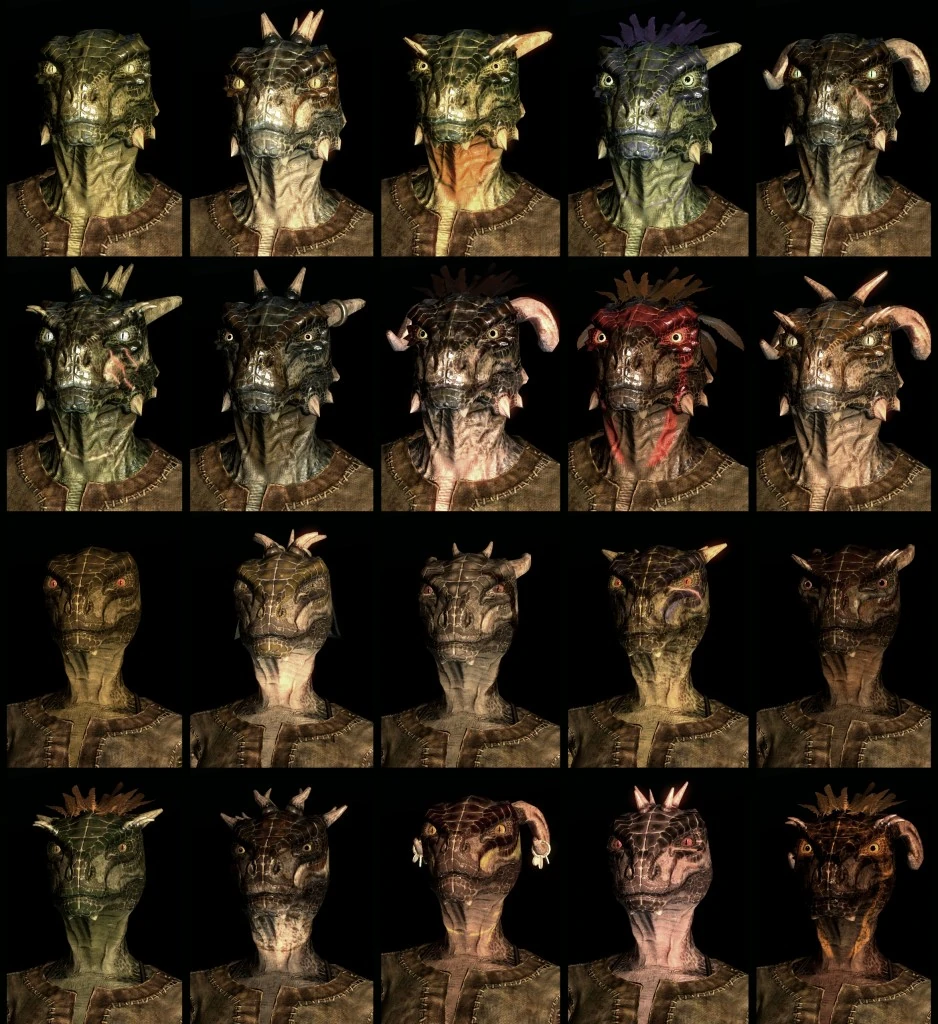 Argonian Elder Scrolls FANDOM Powered By Wikia argonian-elder-scrolls-fandom-powered-by-wikia