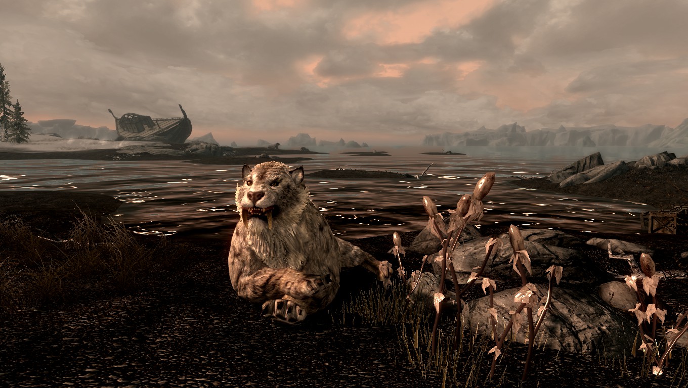 Snowy Sabre Cat (Skyrim) | Elder Scrolls | FANDOM powered by Wikia