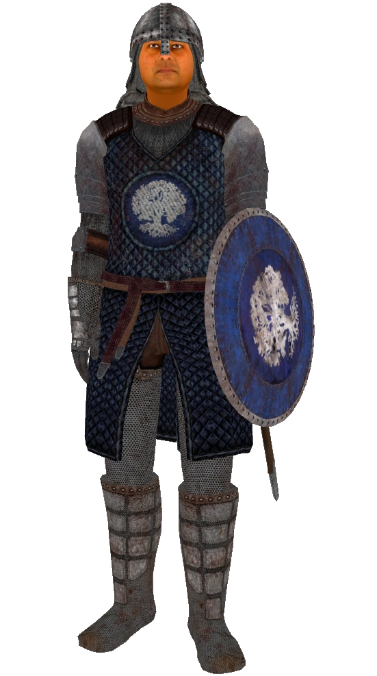 Chorrol Guard [TES:Oblivion] Minecraft Skin