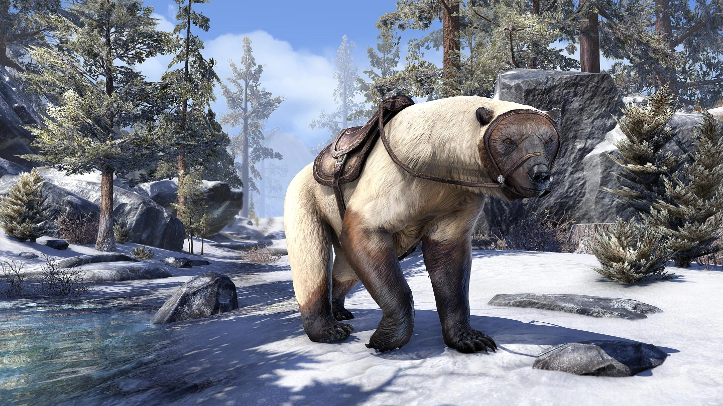Atmoran Snow Bear | Elder Scrolls | Fandom