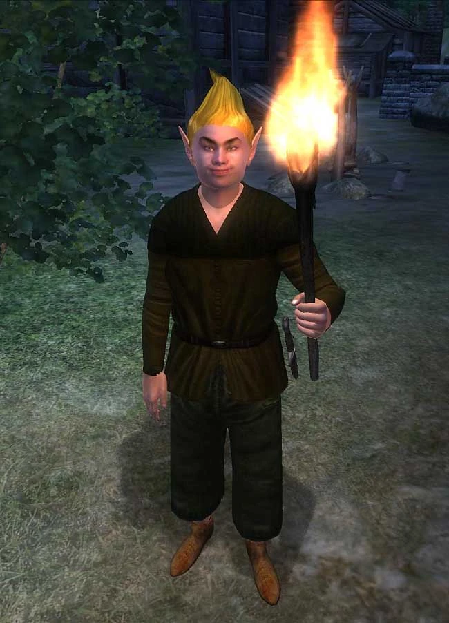 Adoring Fan | The Elder Scrolls Wiki | FANDOM powered by Wikia