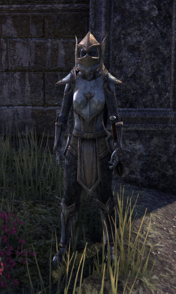 Narsis Protector | Elder Scrolls | Fandom