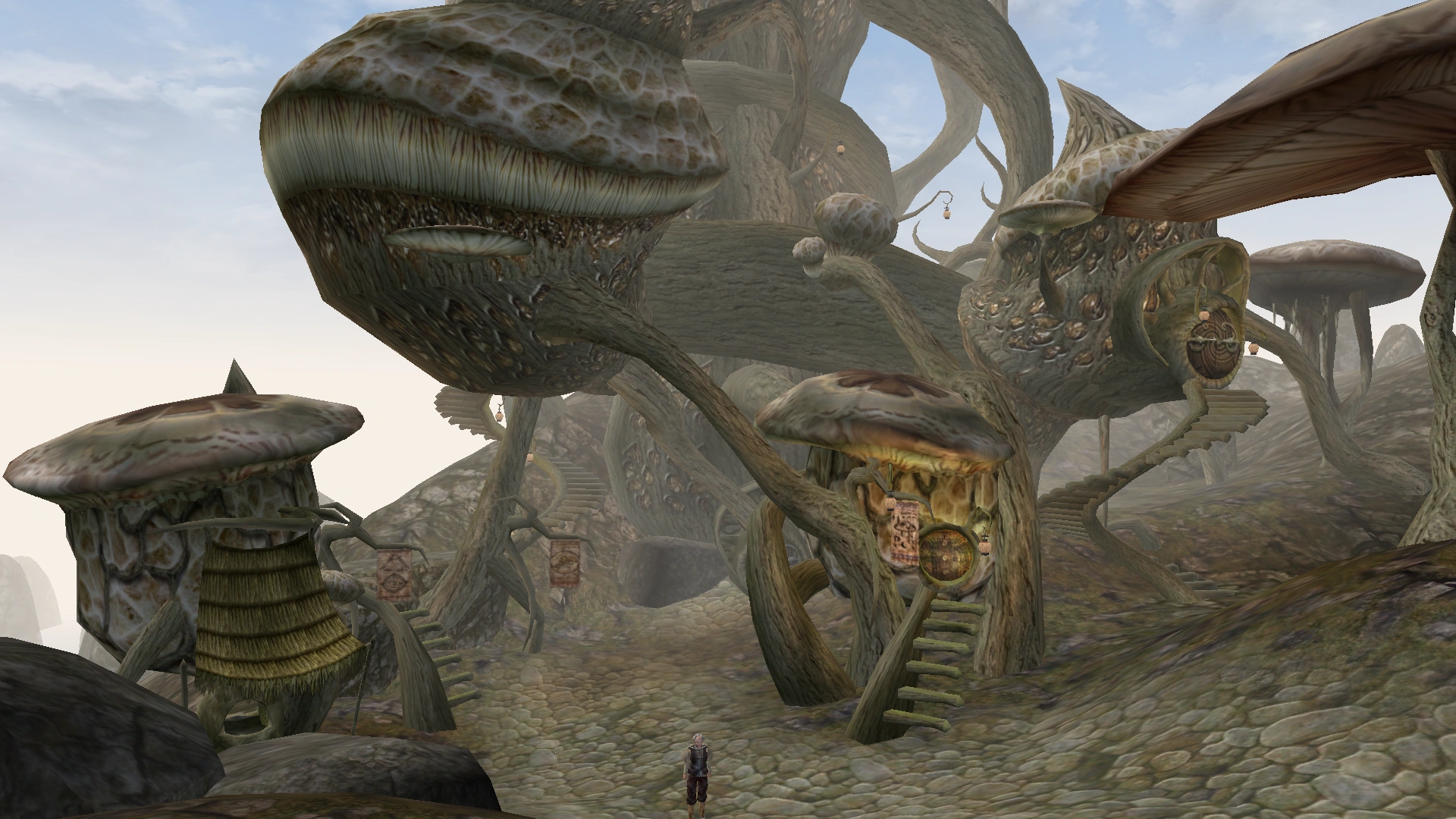 Tel Aruhn (Morrowind) | Elder Scrolls Wiki | Fandom