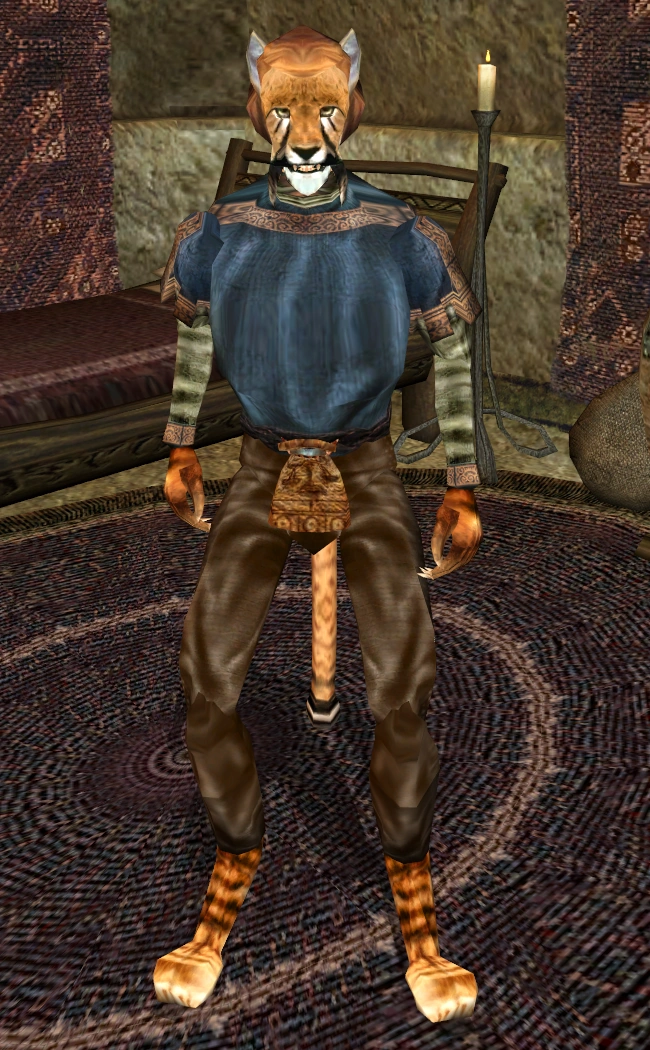 Kategorie:Morrowind: Khajiit | Elder Scrolls Wiki | Fandom