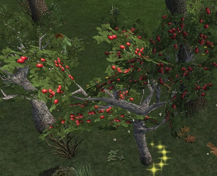 Red Apple | Eldevin Wiki | Fandom