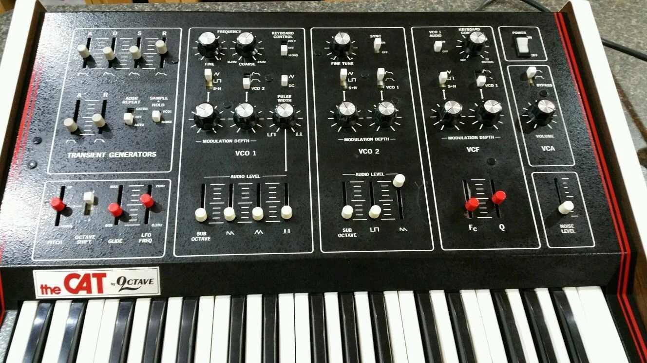 Cat | Electronic Music Wiki | Fandom