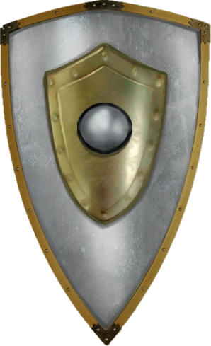 Steel Shield, Heavy | Renderrs' DnD Resource | Fandom