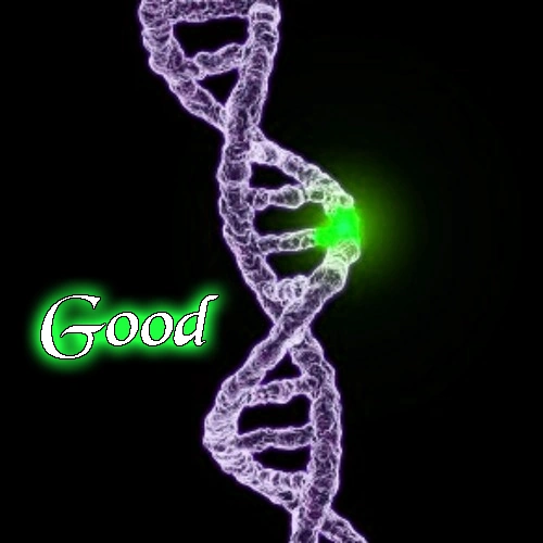 Good Mutations List | Renderrs' DnD Resource | FANDOM powered by Wikia