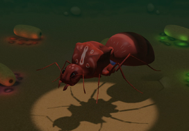 Formica Ereptor Queen (Gene Stealer Ant) | Empires of the Undergrowth ...