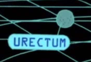 Urectum | Futurama Wiki | Fandom
