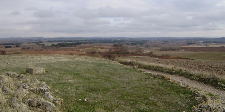 Rust | Endless Sky Wikia | Fandom