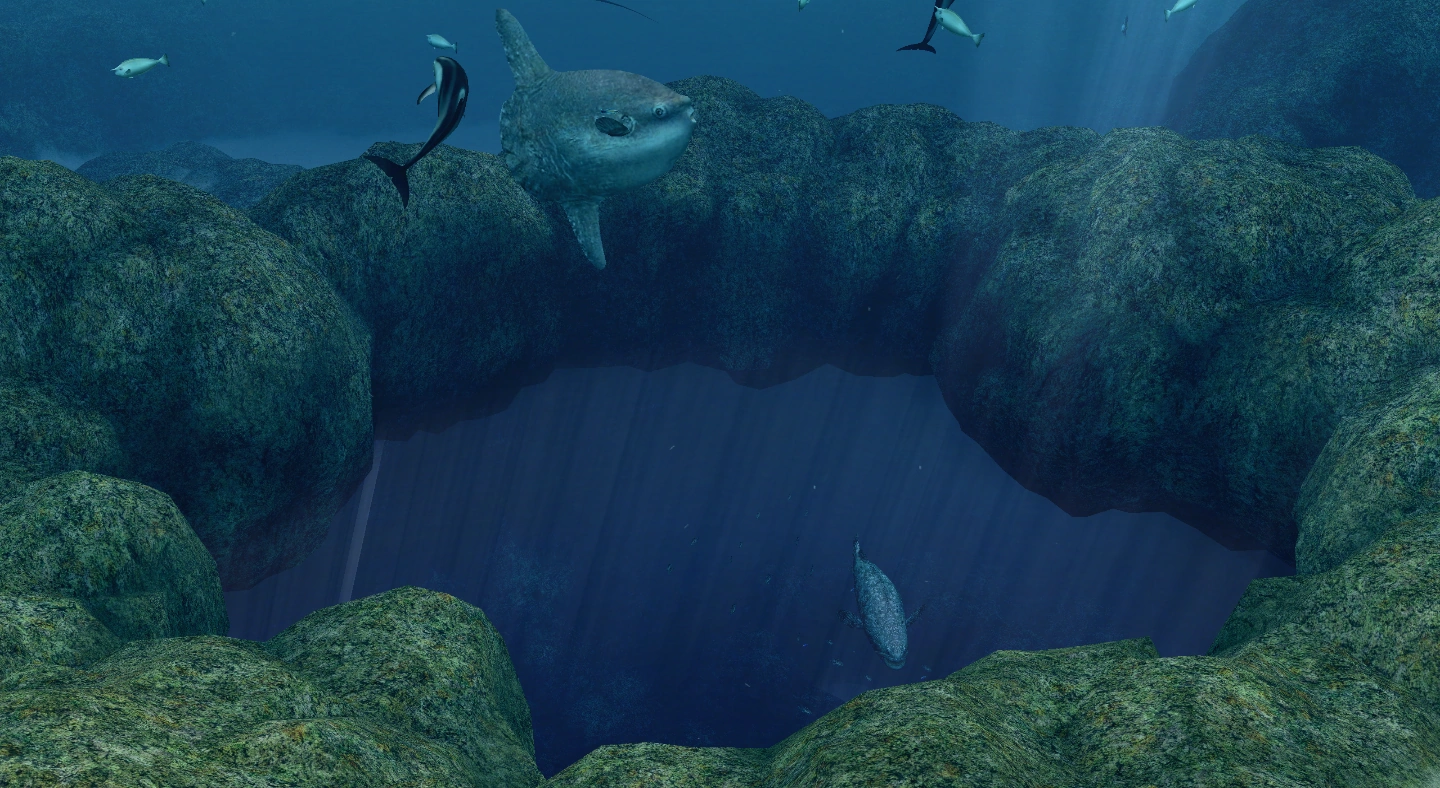 Mouth of Truth | Endless Ocean Wiki | Fandom