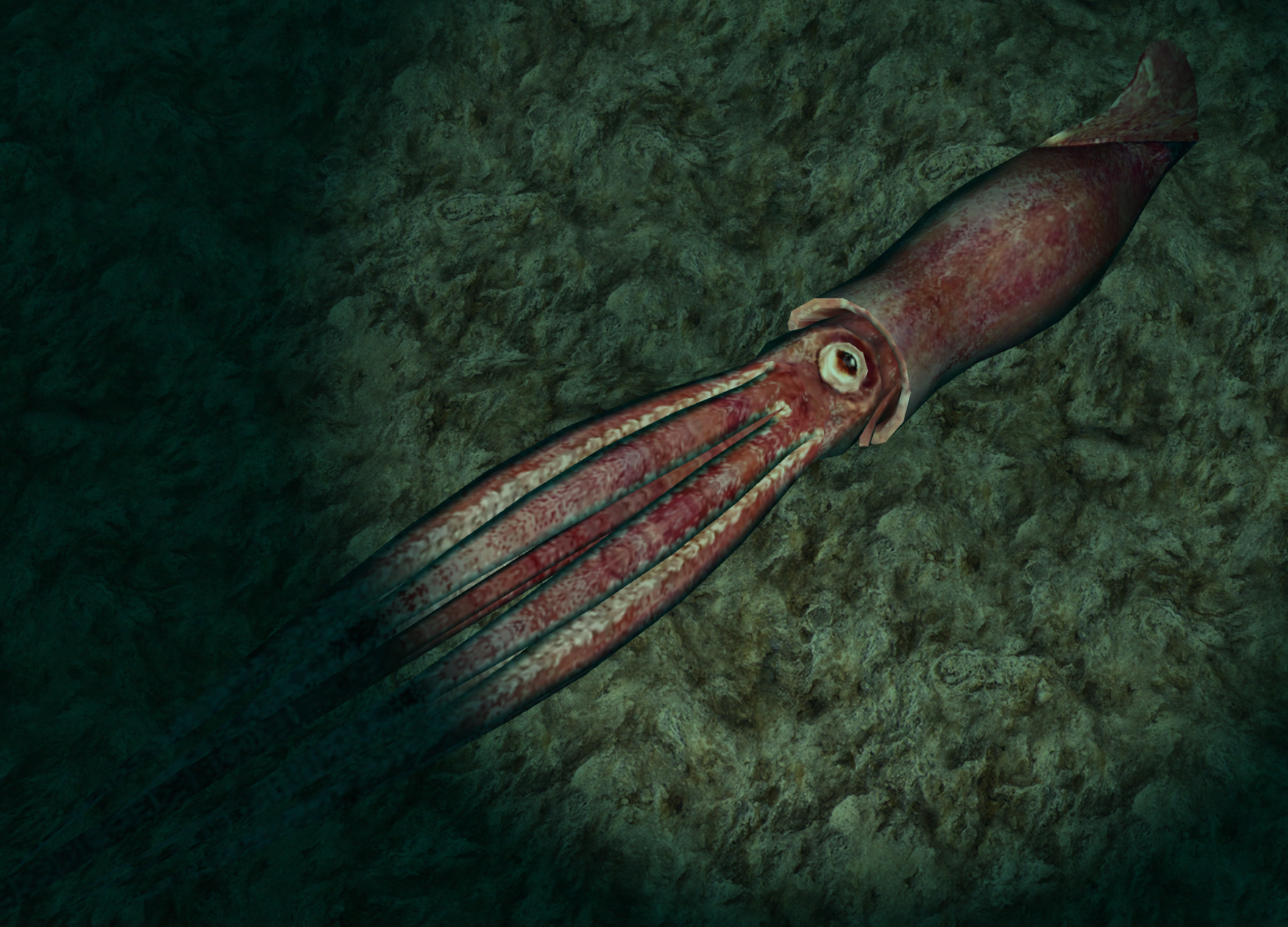 Giant Squid | Endless Ocean Wiki | Fandom Giant Squid | Endless Ocean Wiki | Fandom