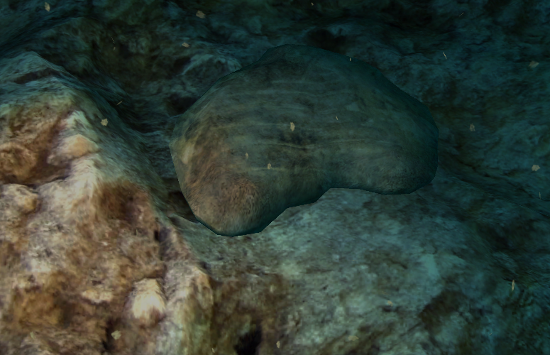Anomalocaris Fossil Endless Ocean Wiki Fandom