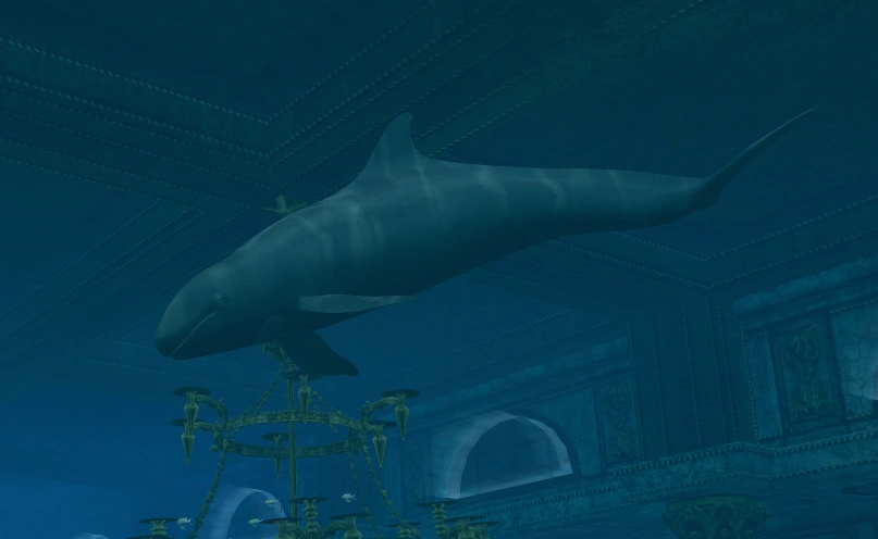 False Killer Whale | Endless Ocean Wiki | Fandom