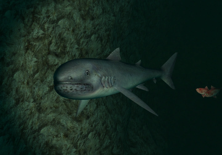 Megamouth Shark | Endless Ocean Wiki | Fandom