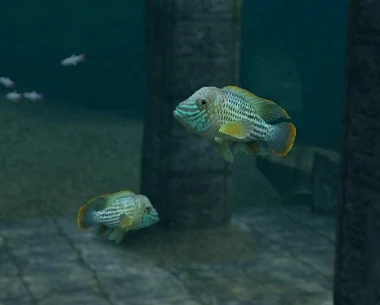 Green Terror | Endless Ocean Wiki | Fandom