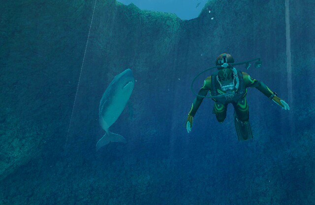 Deep Dome Endless Ocean Wiki Fandom Powered By Wikia