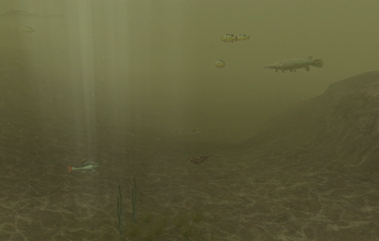 Midstream | Endless Ocean Wiki | Fandom