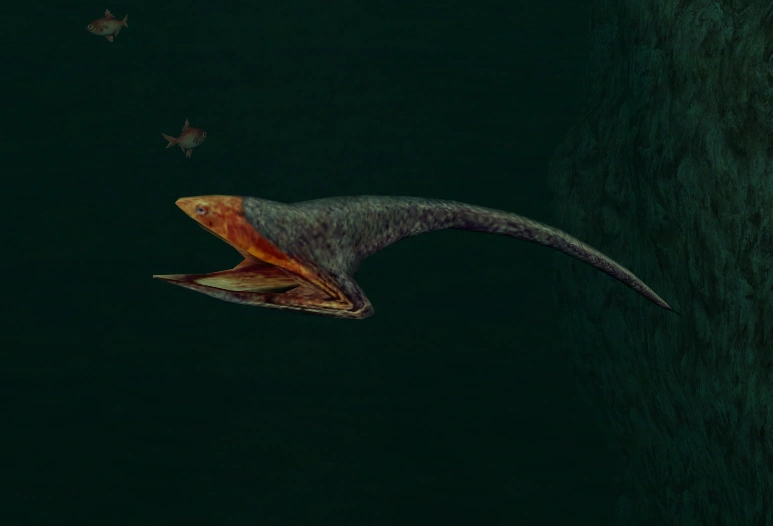 Pelican Eel | Endless Ocean Wiki | FANDOM powered by Wikia