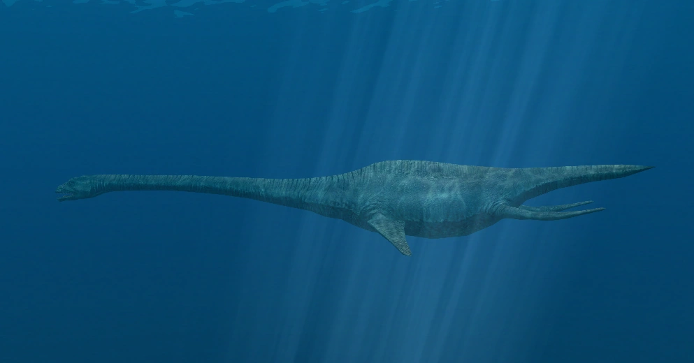 Sea Serpent | Endless Ocean Wiki | Fandom