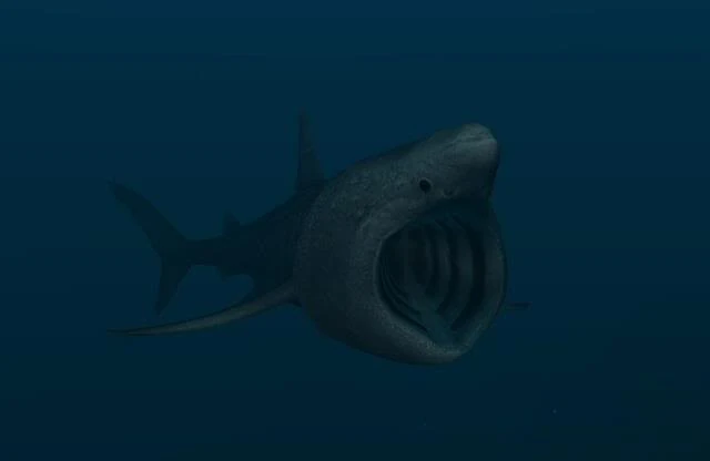 Category:Vulnerable Species | Endless Ocean Wiki | FANDOM powered by Wikia