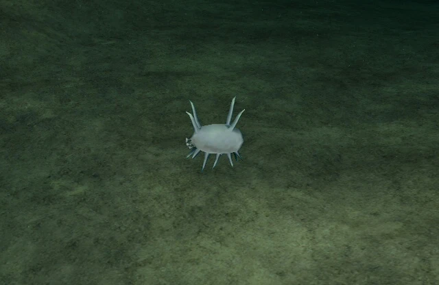 Sea Pig | Endless Ocean Wiki | FANDOM powered by Wikia
