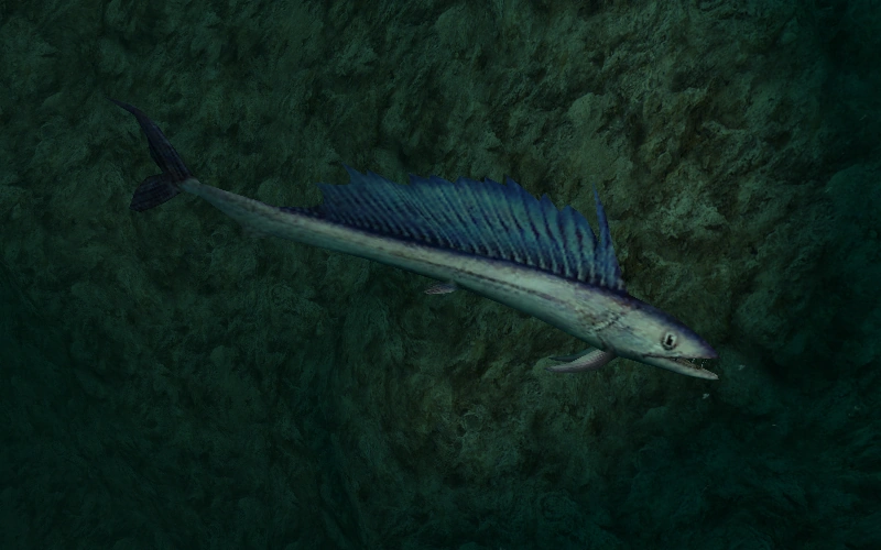 Longnose Lancetfish | Endless Ocean Wiki | Fandom