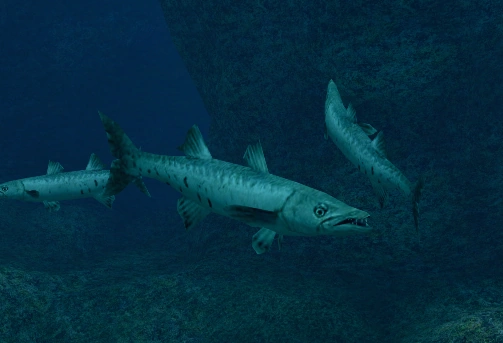 Great Barracuda | Endless Ocean Wiki | Fandom