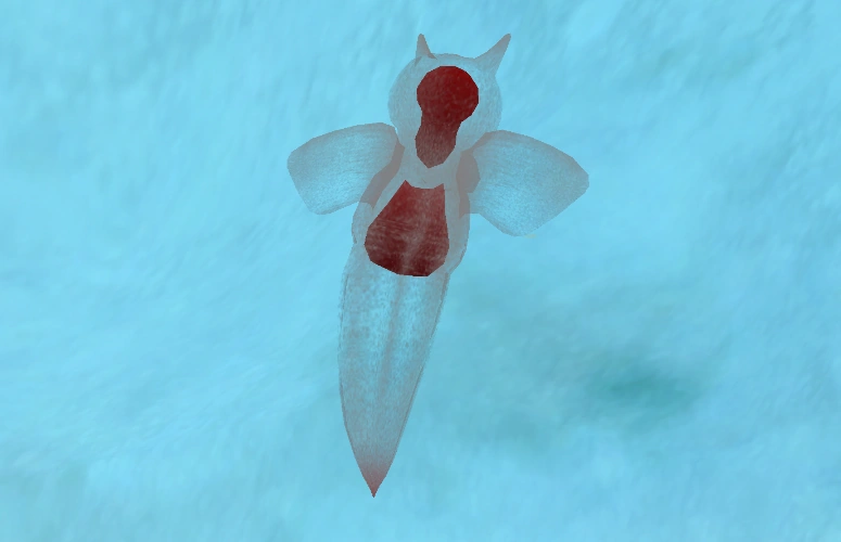 Sea Angel | Endless Ocean Wiki | Fandom