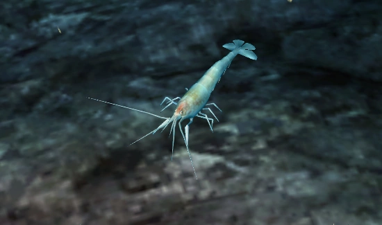 Deep-Sea Blind Shrimp | Endless Ocean Wiki | Fandom