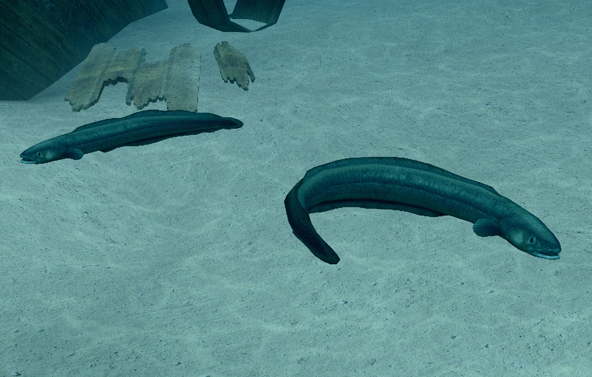 European Conger Eel | Endless Ocean Wiki | Fandom