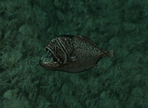 Common Fangtooth | Endless Ocean Wiki | Fandom