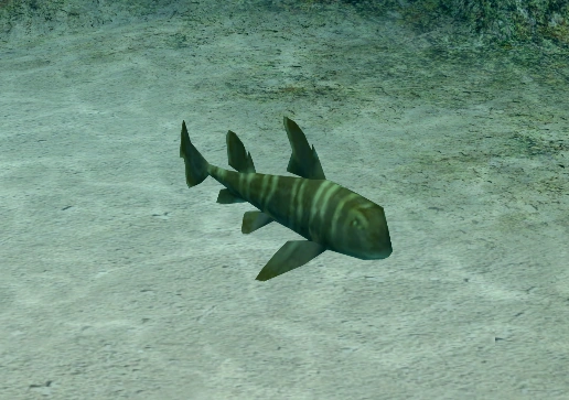 Japanese Bullhead Shark | Endless Ocean Wiki | Fandom