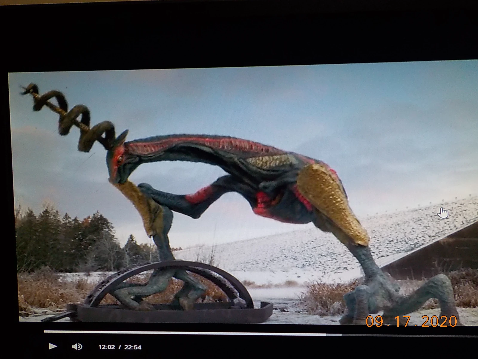 Category:Characters | Endlings Wiki | Fandom