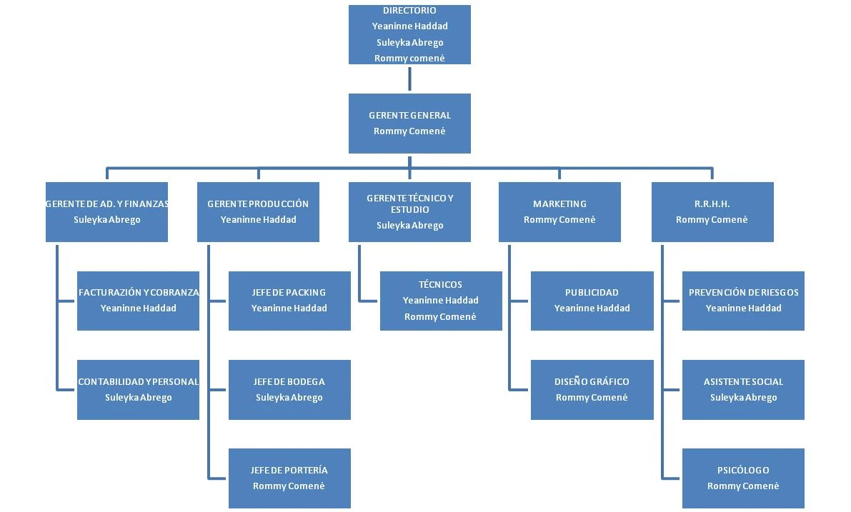 Organigrama | Enseñamos para que Aprendan Wiki | Fandom