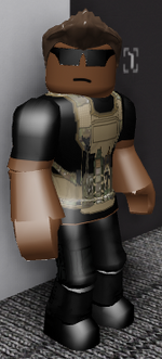 Guards | Entry Point Wiki | Fandom