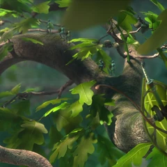 Leafmen | Epic Wiki | Fandom