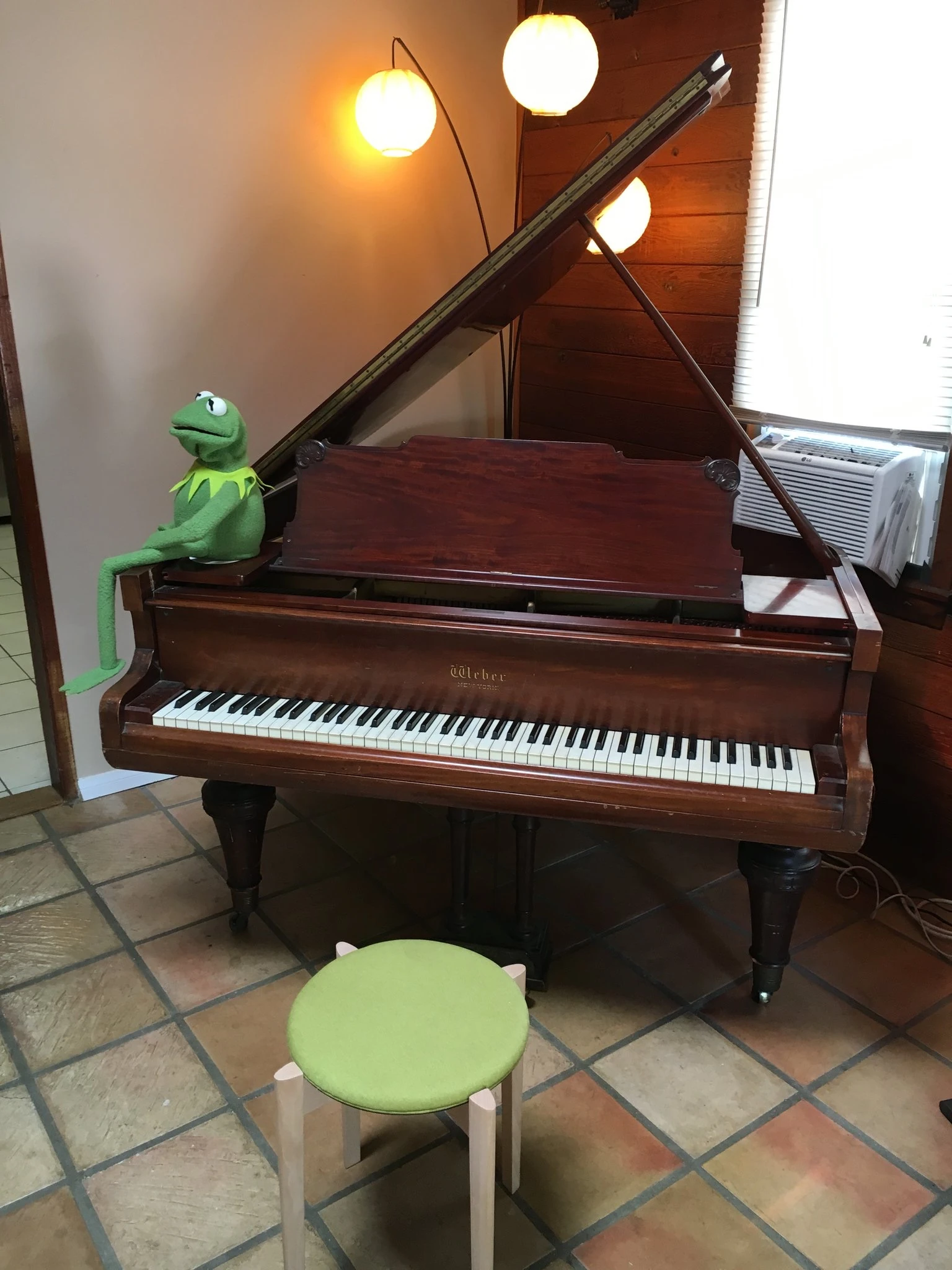 Kermit the Frog | Epic Rap Battles of History Wiki | Fandom