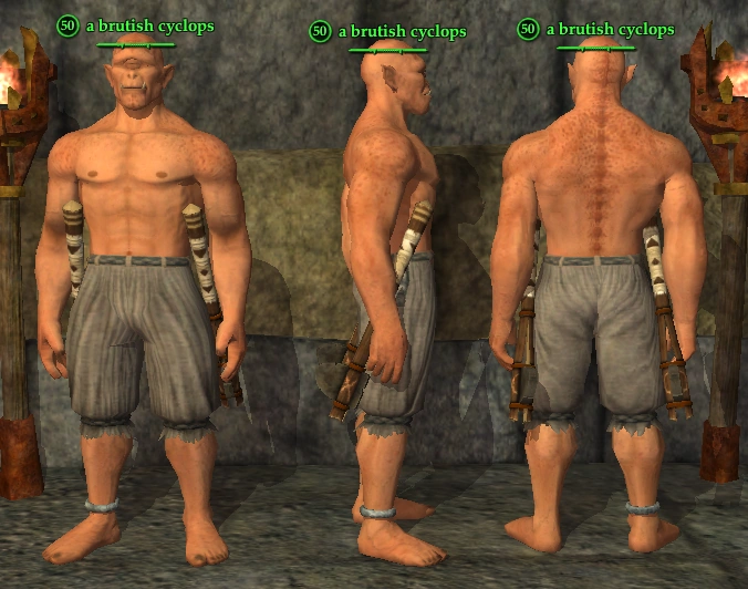 Cyclops (Monk) | EverQuest 2 Wiki | Fandom